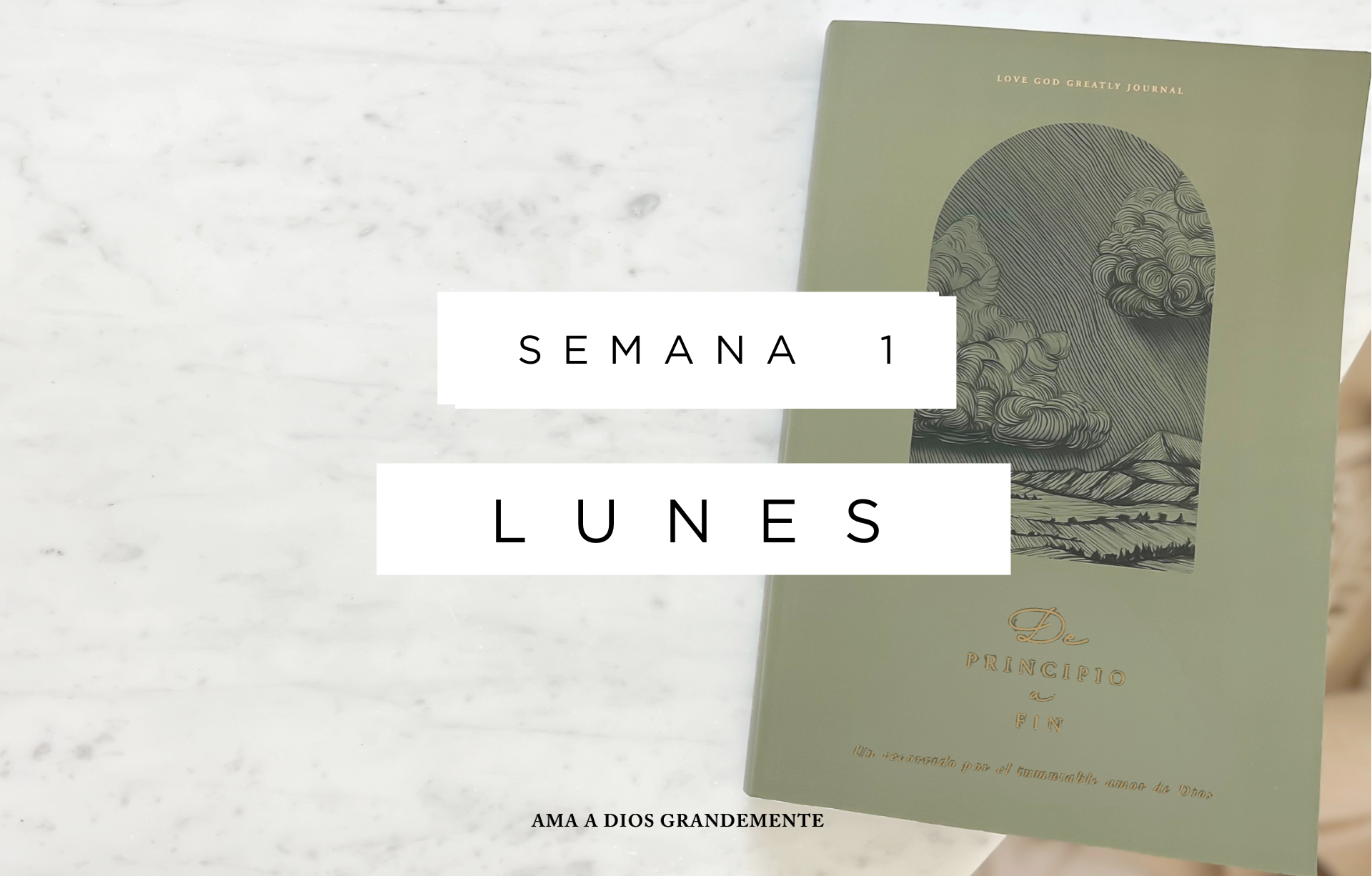 Detenerse y Celebrar - LGG Spanish